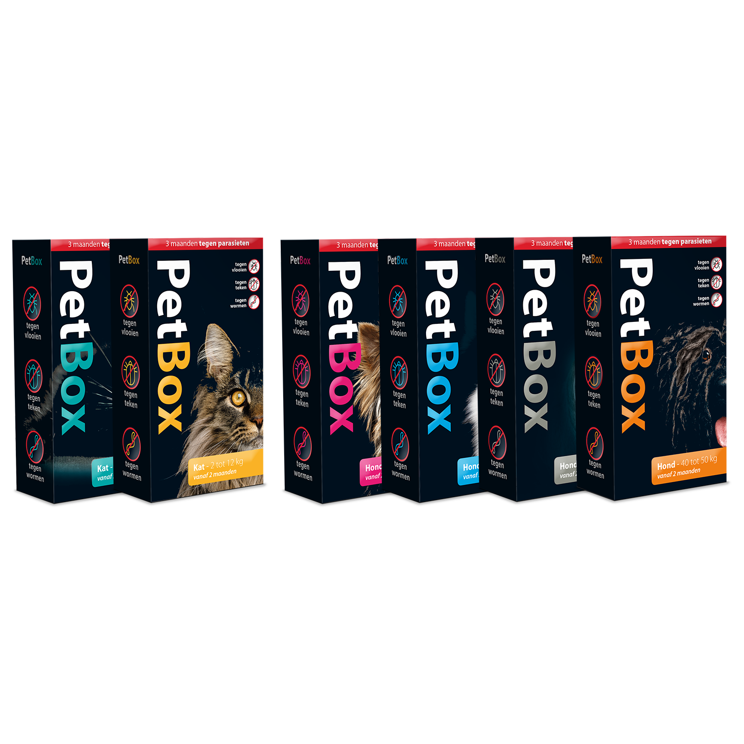 PetBox: alles-in-1 tegen vlooien, teken en wormen - PetBox@Home